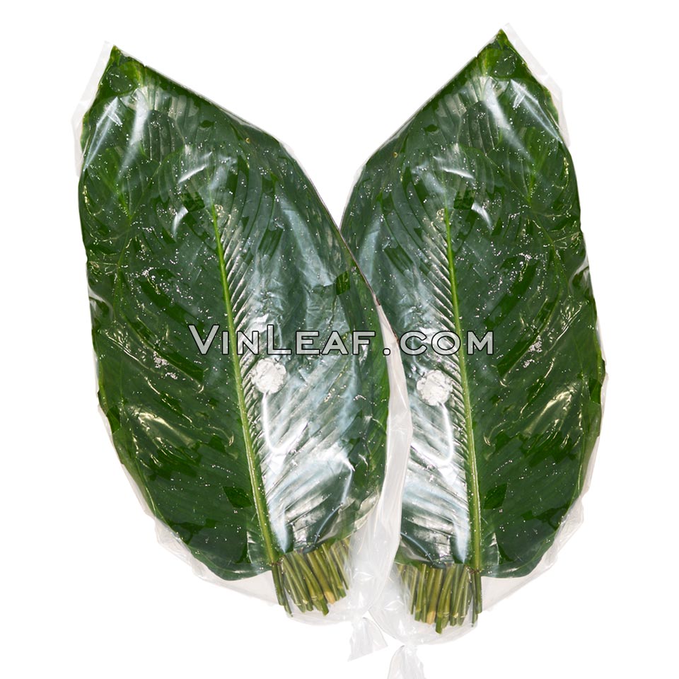 Frozen Vegetables - VinLeaf